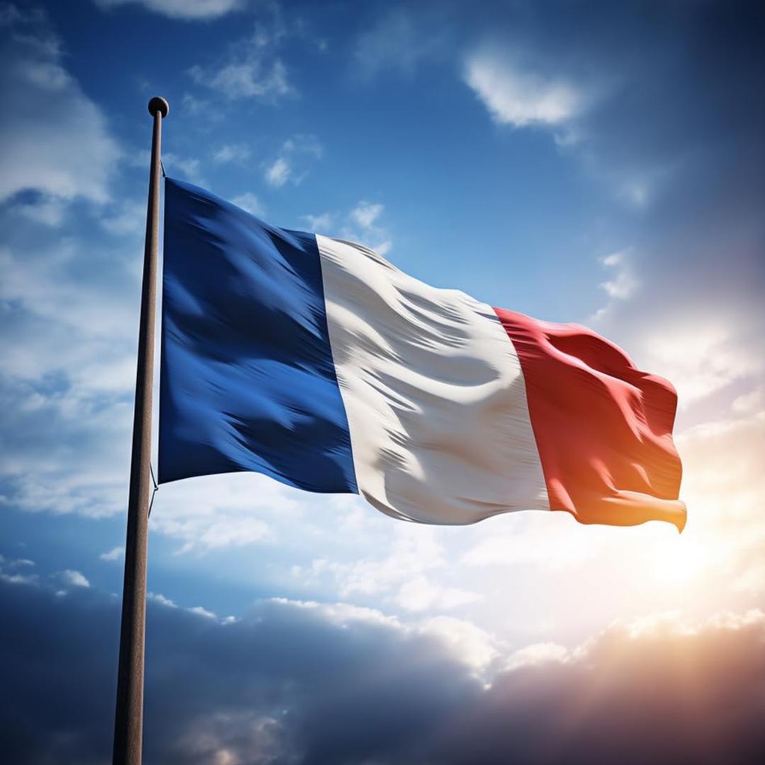 Download TikTok videos no watermark