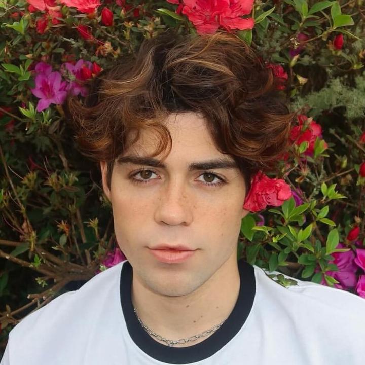 🦄 @benjikrol - Benji Krol - TikTok