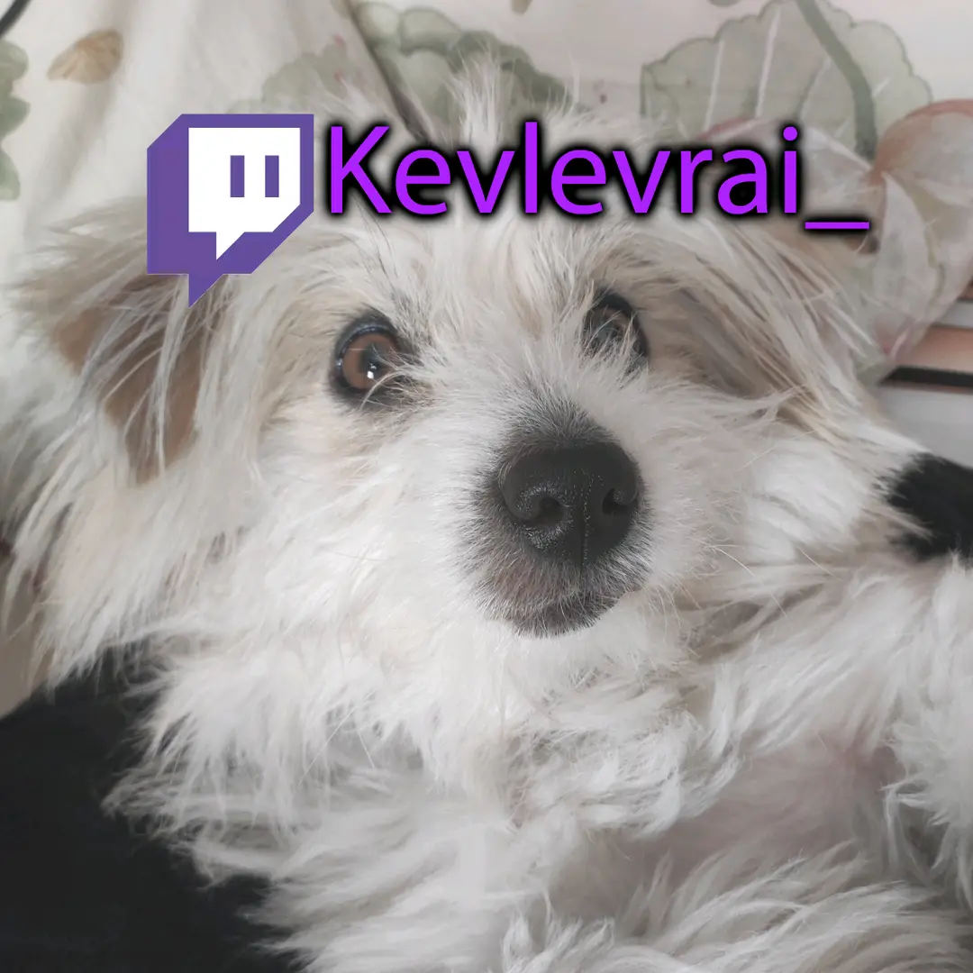 KEVLEVRAI EN LIVE's TikTok Analytics - FreshTok