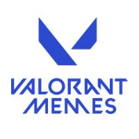 🦄 @valorantmemecentre - Valorant Memes - TikTok