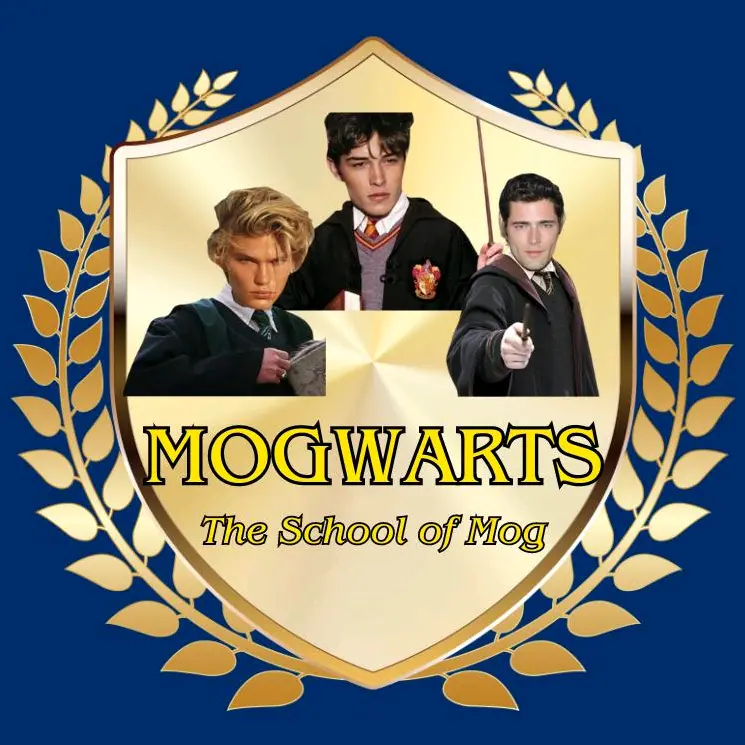 School of Mogwarts🏰 - @ schoolofmogwarts TikTok تحليلات | الملف الشخصي ...