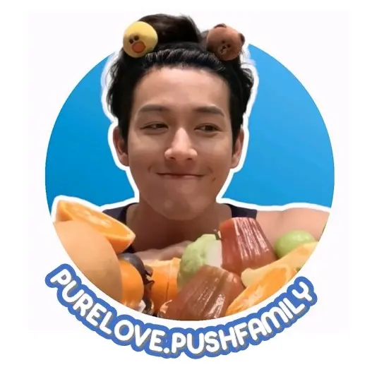 purelove.push- @purelove.pushfamily TikTok 分析|プロフィール、動画、ハッシュタグ | Exolyt