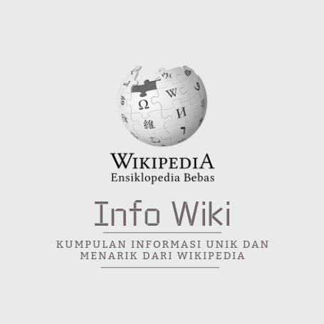 🦄 @info.wiki - Info Wiki - TikTok