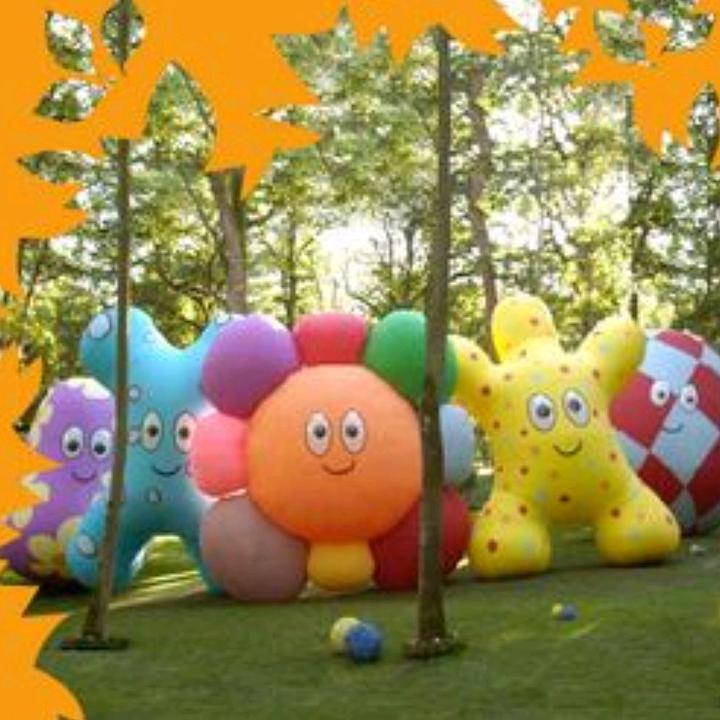 #haahoos - TikTok Hashtag